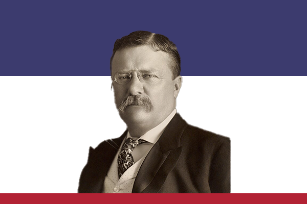 Theodore Roosevelt | 25th Vice President of the USA | Biography